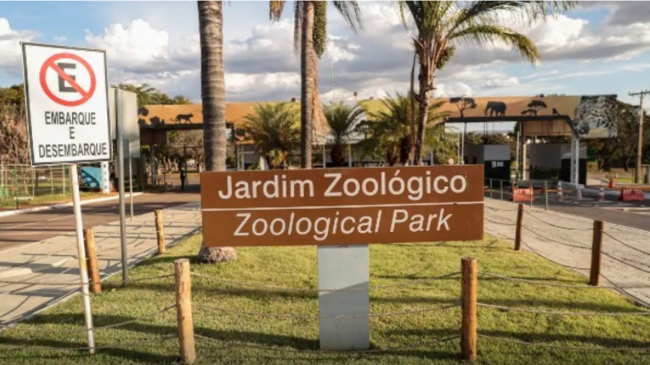 Zoológico de Brasília vive ano histórico em 2025 - Dia da Notícia ...